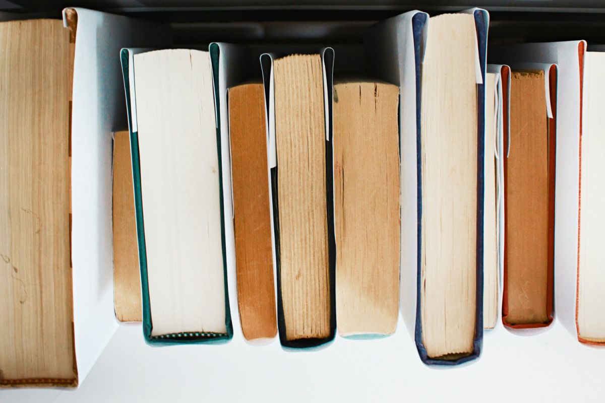 Les coups de coeur lecture en français de notre équipe