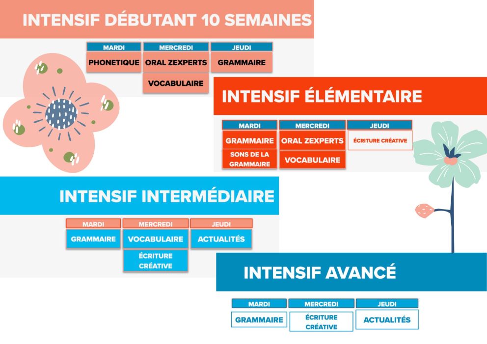 Intensive course in France - Montpellier - South of France