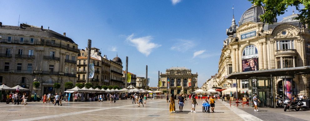 Why learn French in Montpellier?