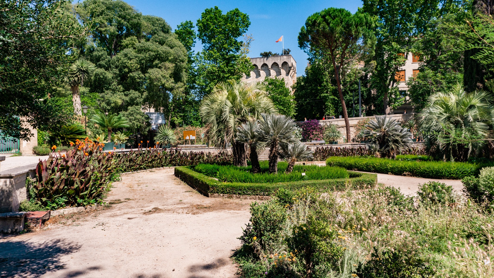 Montpellier