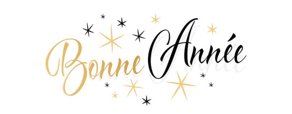 Happy new year in French!