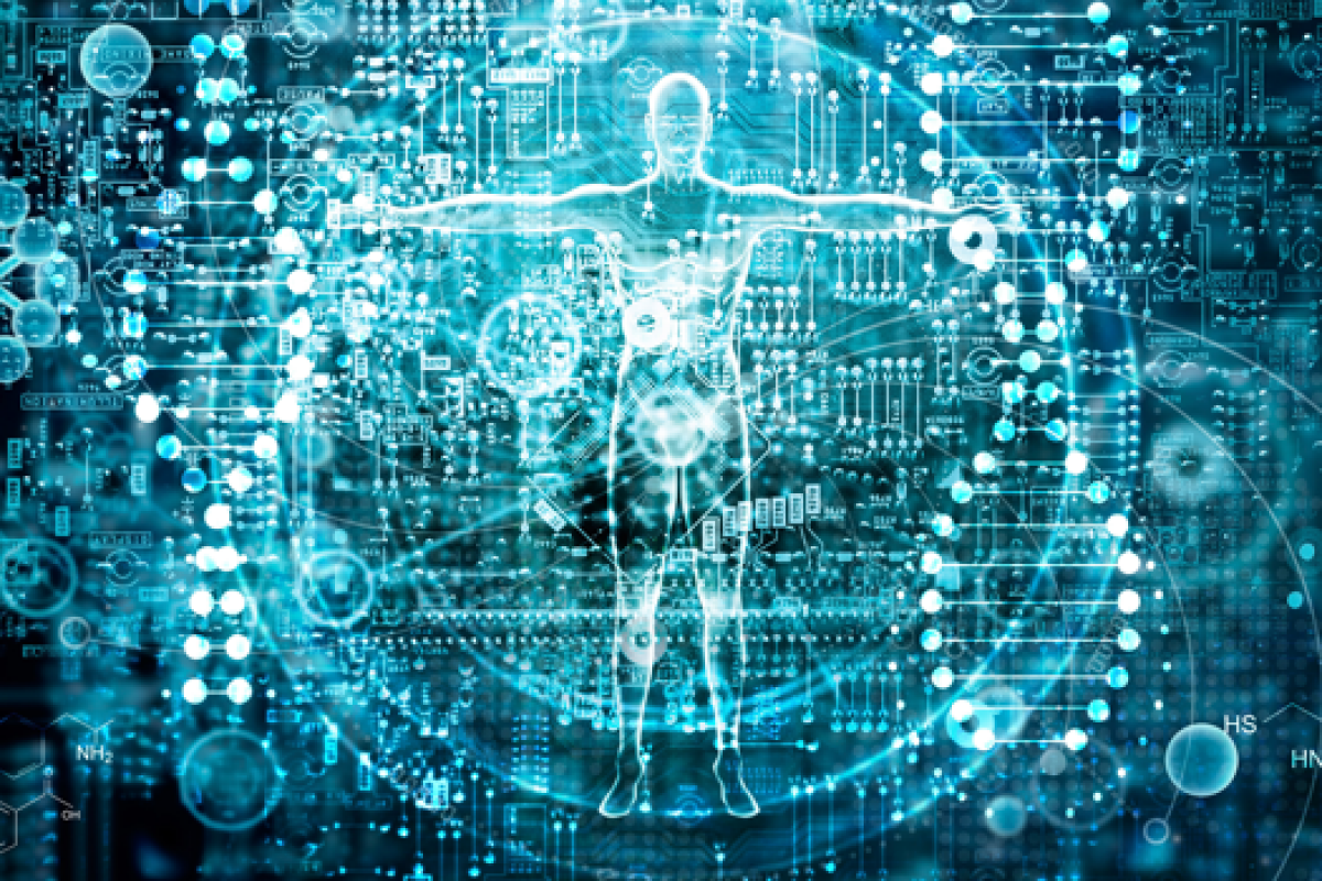 Francês + Ciências: Aprenda, explore e inove em Montpellier